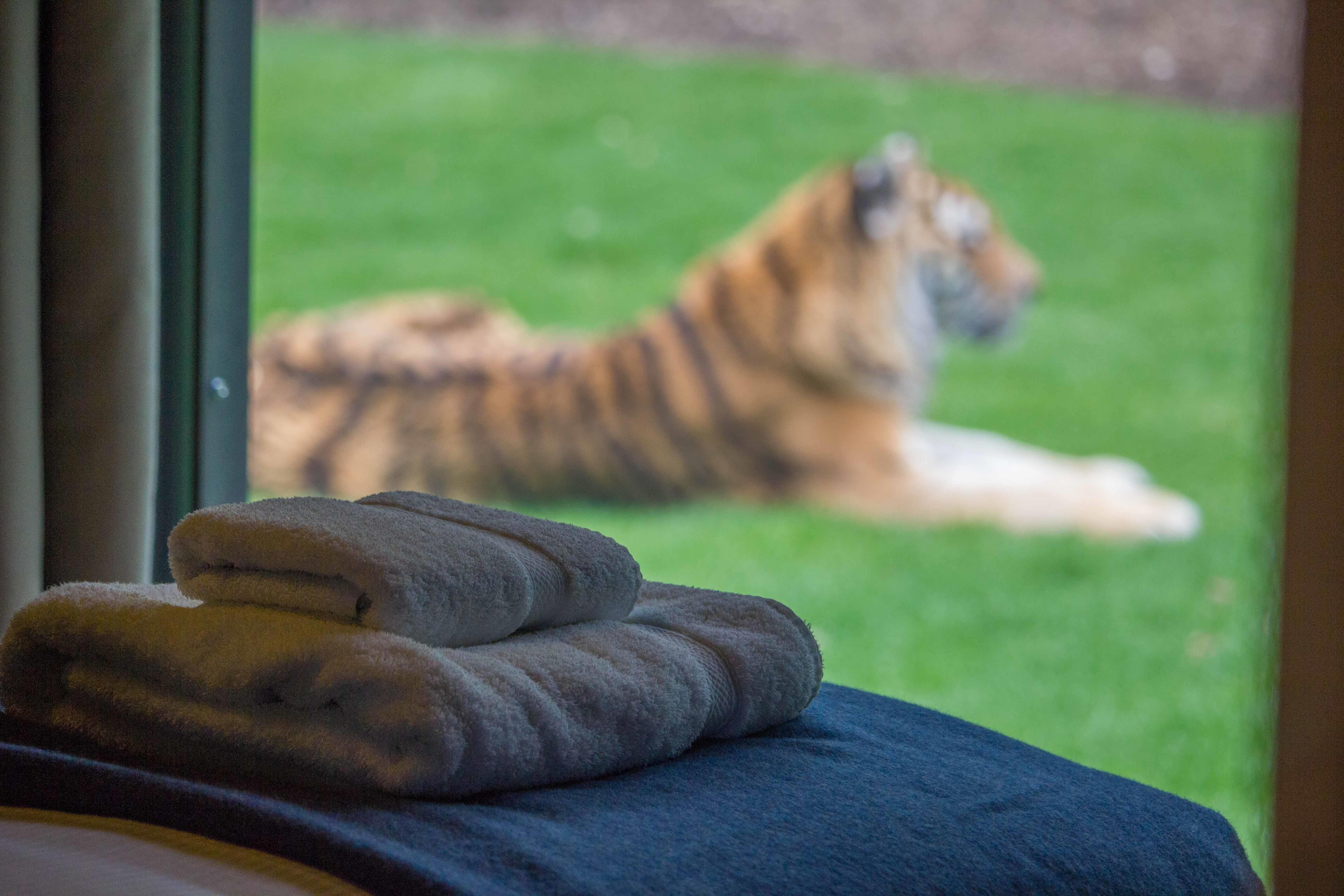 Tiger Lodge at at Port Lympne Hotel & Reserve - Ashford and Tenterden